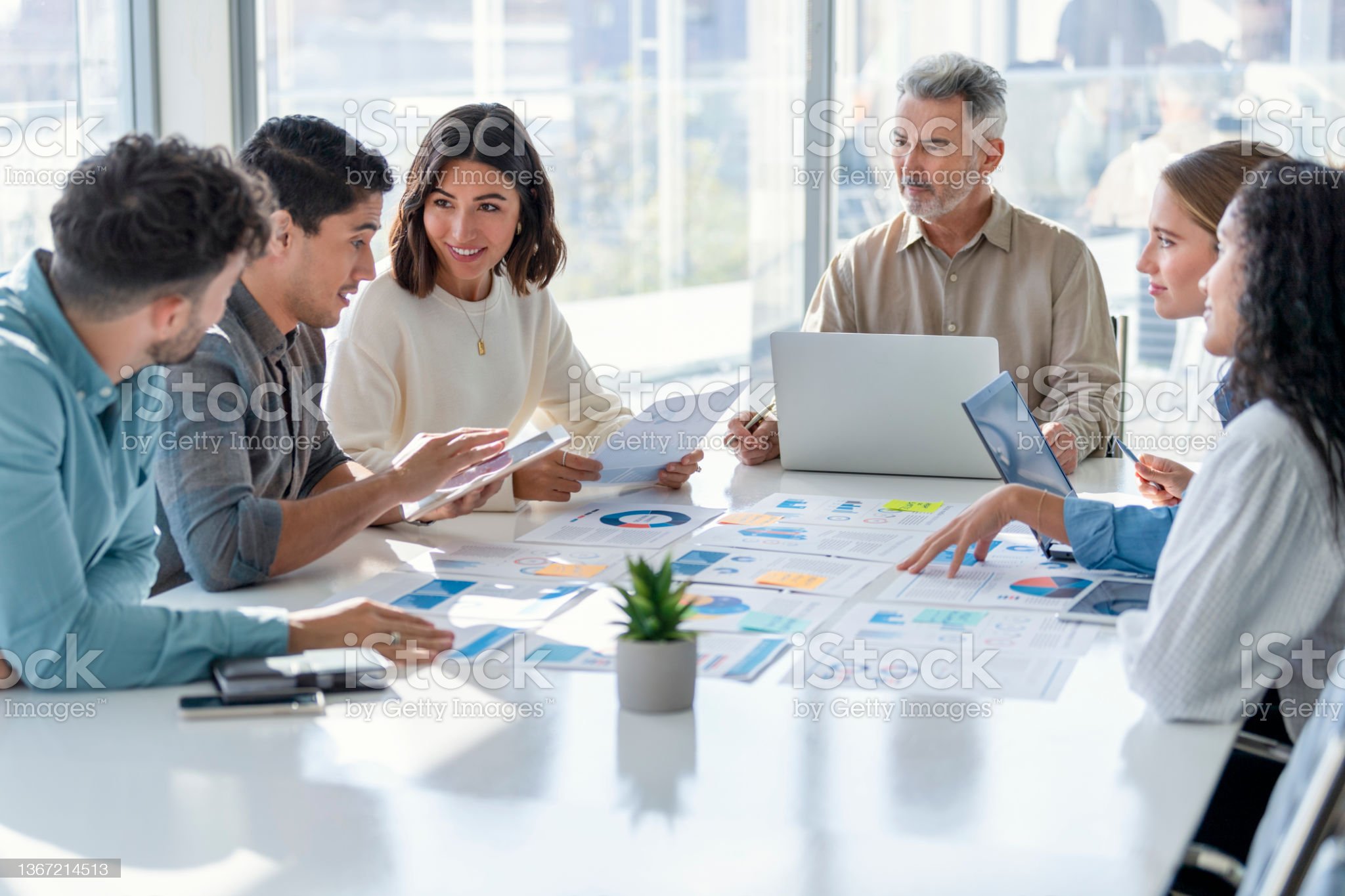 Bid and Tender support - Aurora Marketing